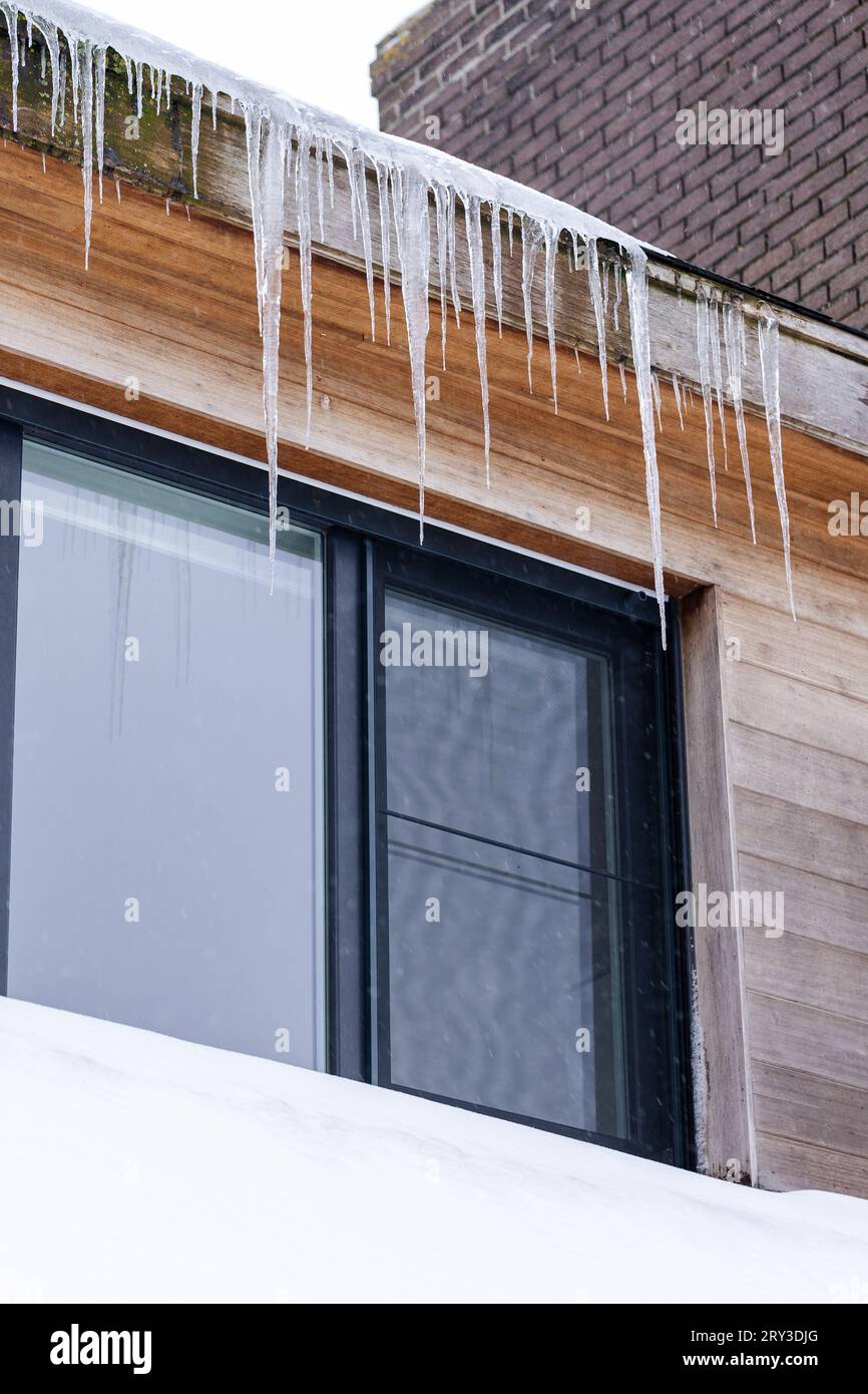 A closeup portrait of huge icicles hanging from a roof gutter above a ...