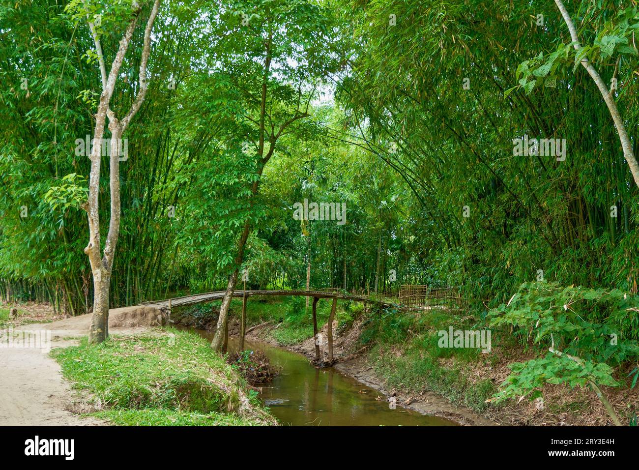 Bamboo footbridge hi-res stock photography and images - Alamy