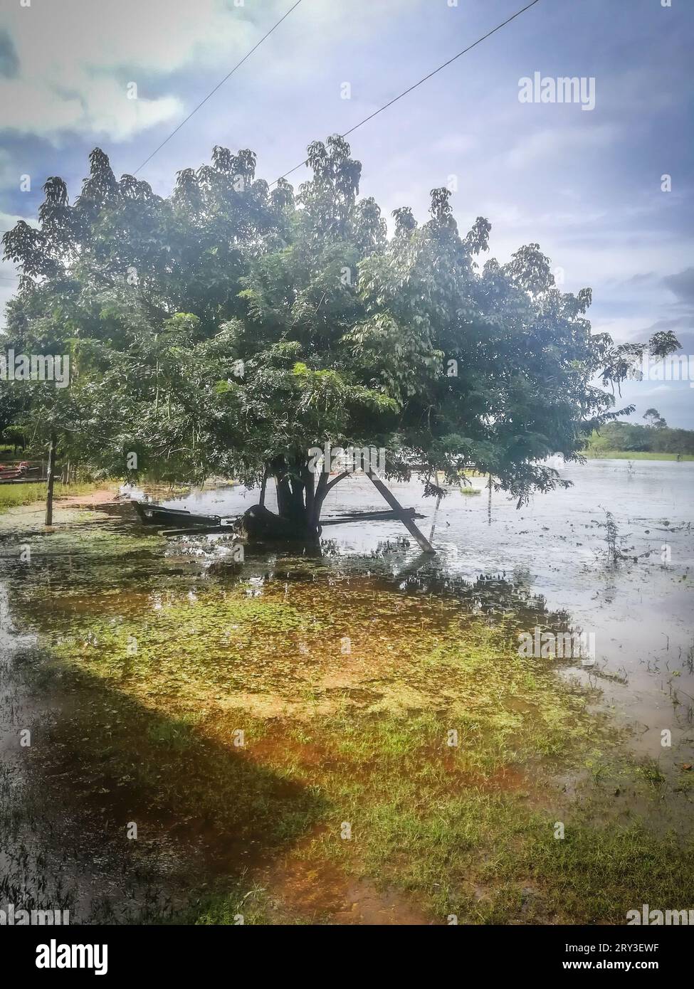 Amazon river, Brazil, Amazonian Tribe with the largest volume of land ...