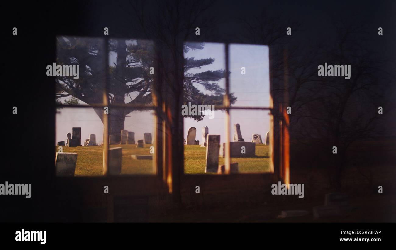 Old growth pine tree surrounded by grave stones, framed through an ...