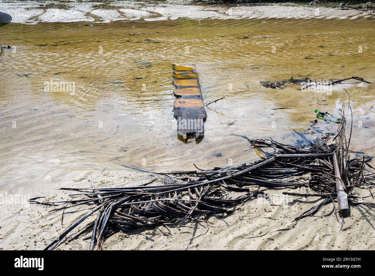 Branches and piece of wood floating in a yellow river. Changing ...