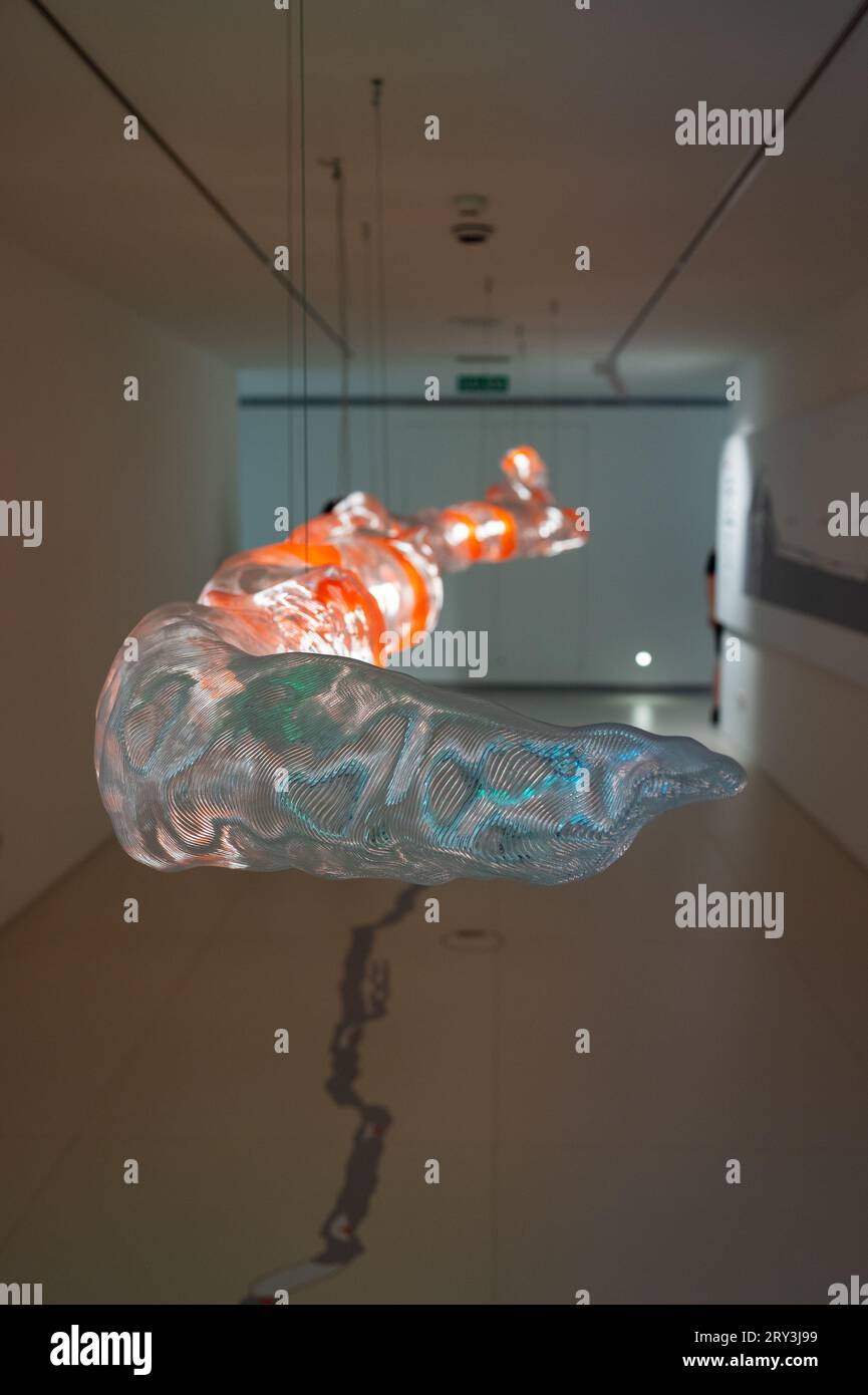 Inside the Lava tube installation at La Casa de los Volcanes (Volcanoes ...