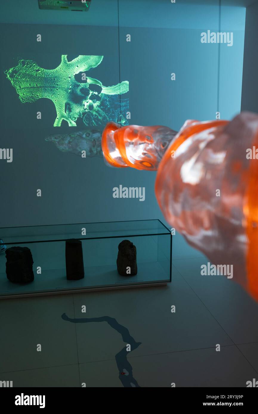 Inside the Lava tube installation at La Casa de los Volcanes (Volcanoes ...