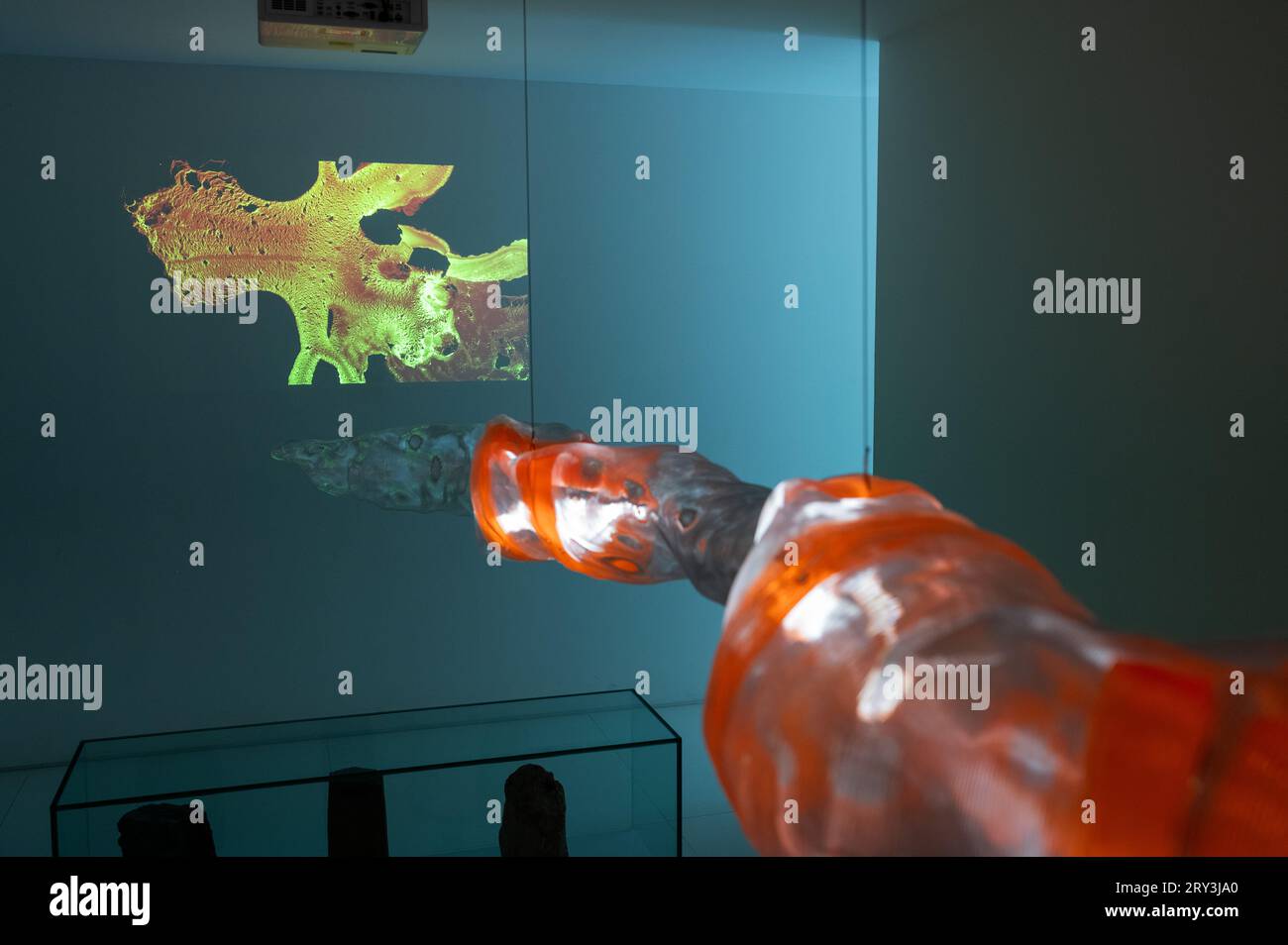 Inside the Lava tube installation at La Casa de los Volcanes (Volcanoes ...