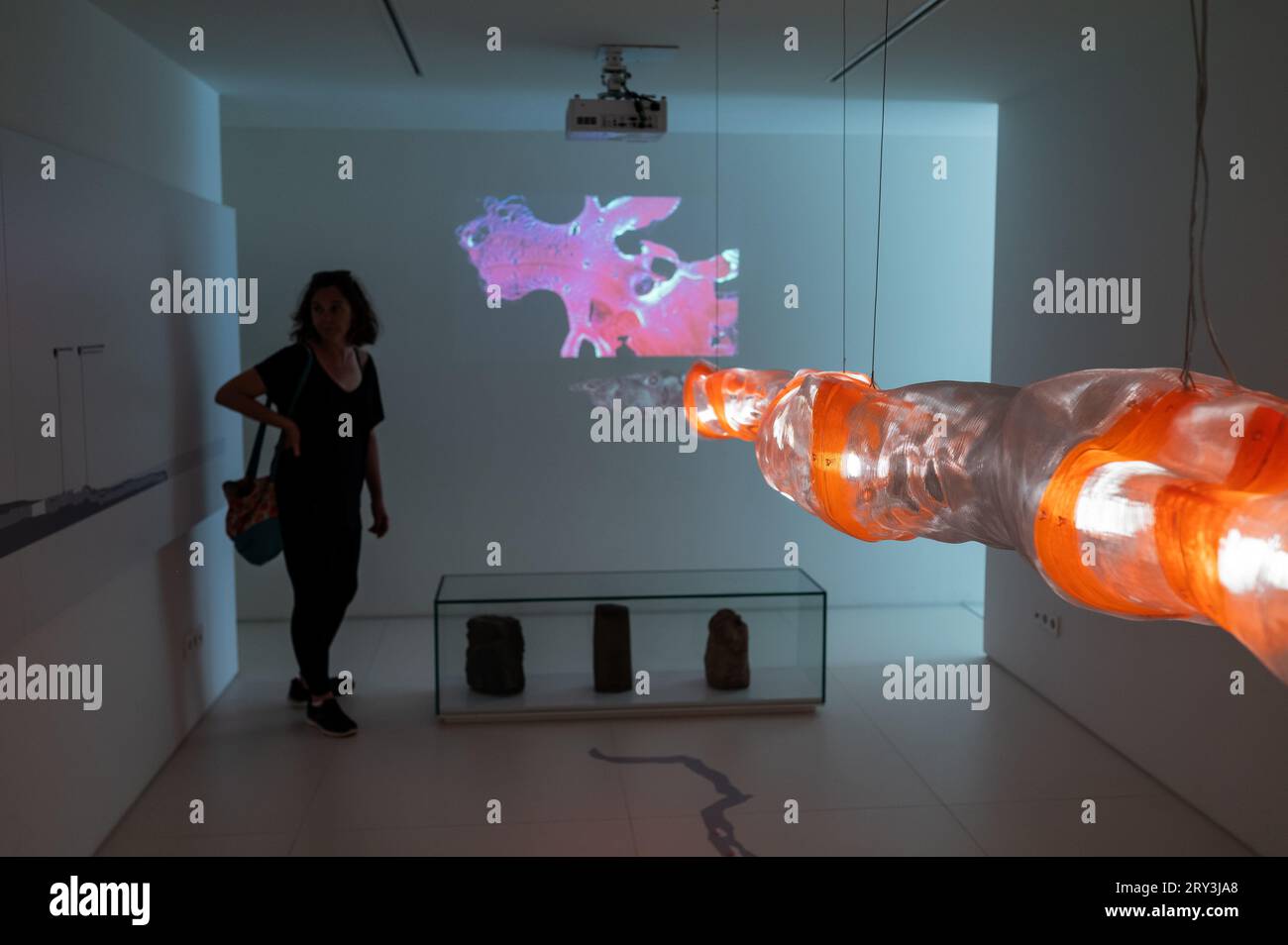 Inside the Lava tube installation at La Casa de los Volcanes (Volcanoes ...