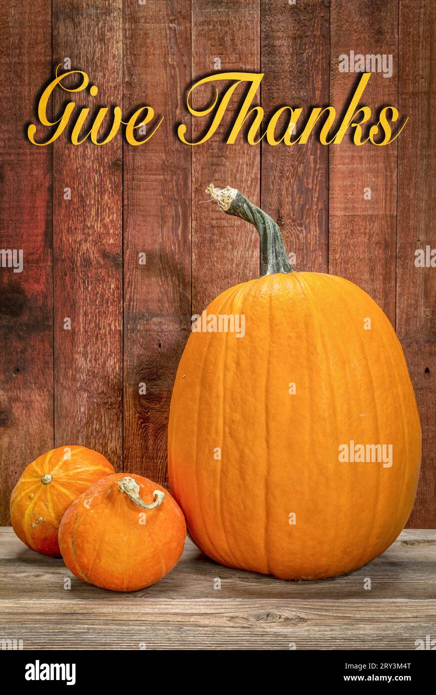 Give Thanks - a greeting card with a pumpkin and hubbard winter squash ...