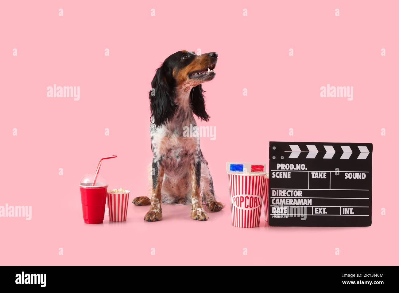 Cute cocker spaniel dog with popcorn buckets, cup of soda, clapperboard and 3D cinema glasses ...