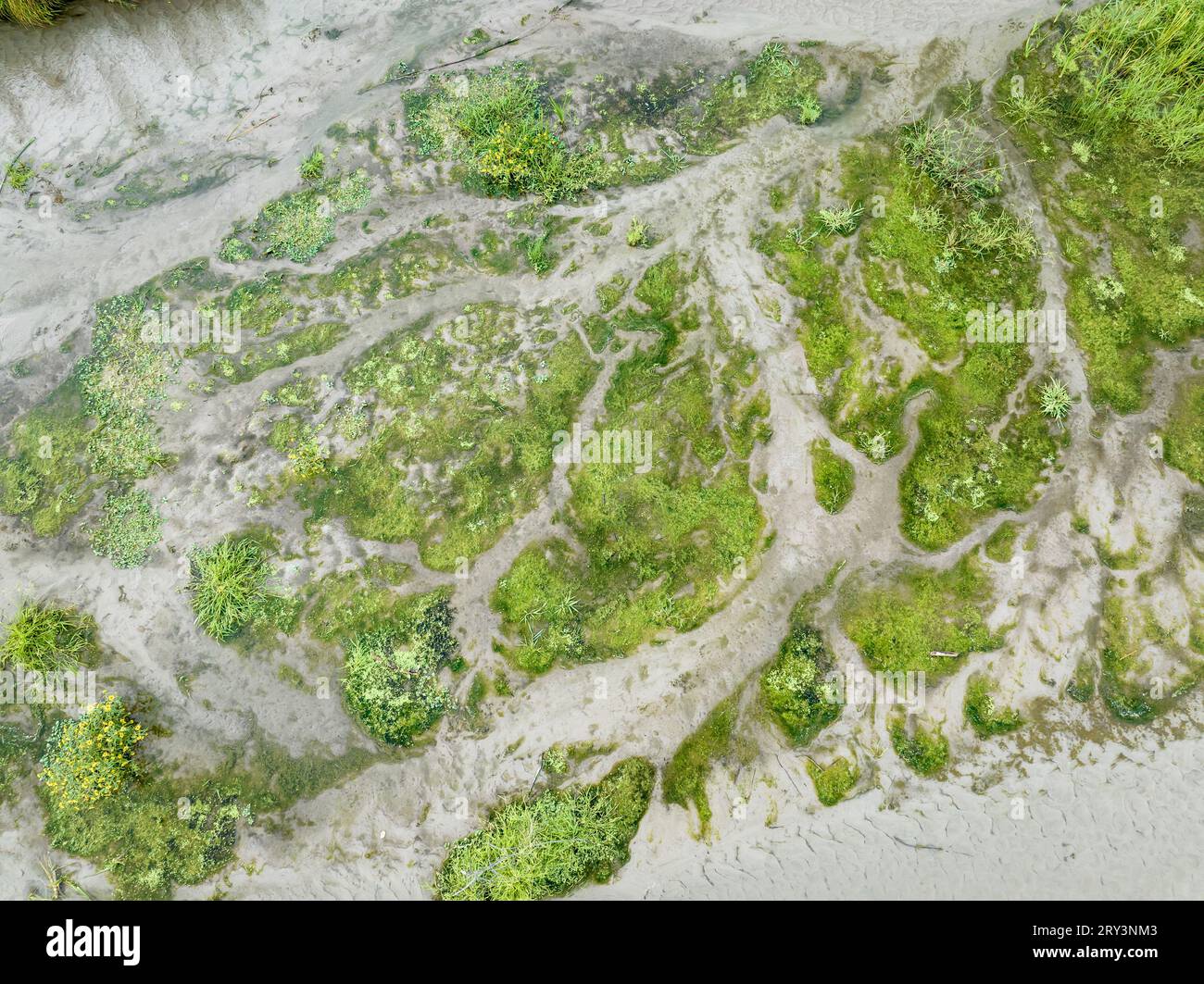 sandbar on a shallow and sandy prairie river - Dismal River with ...