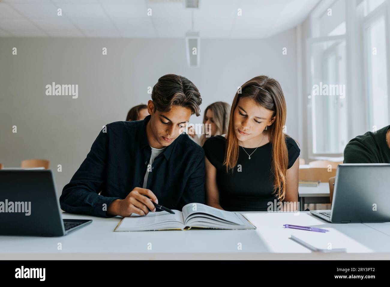 Male and female students studying together in classroom Stock Photo - Alamy