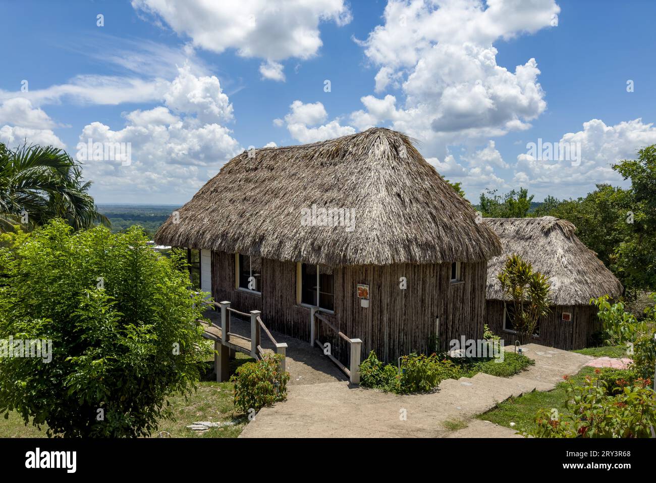 Rustic thatched-roof bungalows at the Cahal Pech Village Resort in San ...