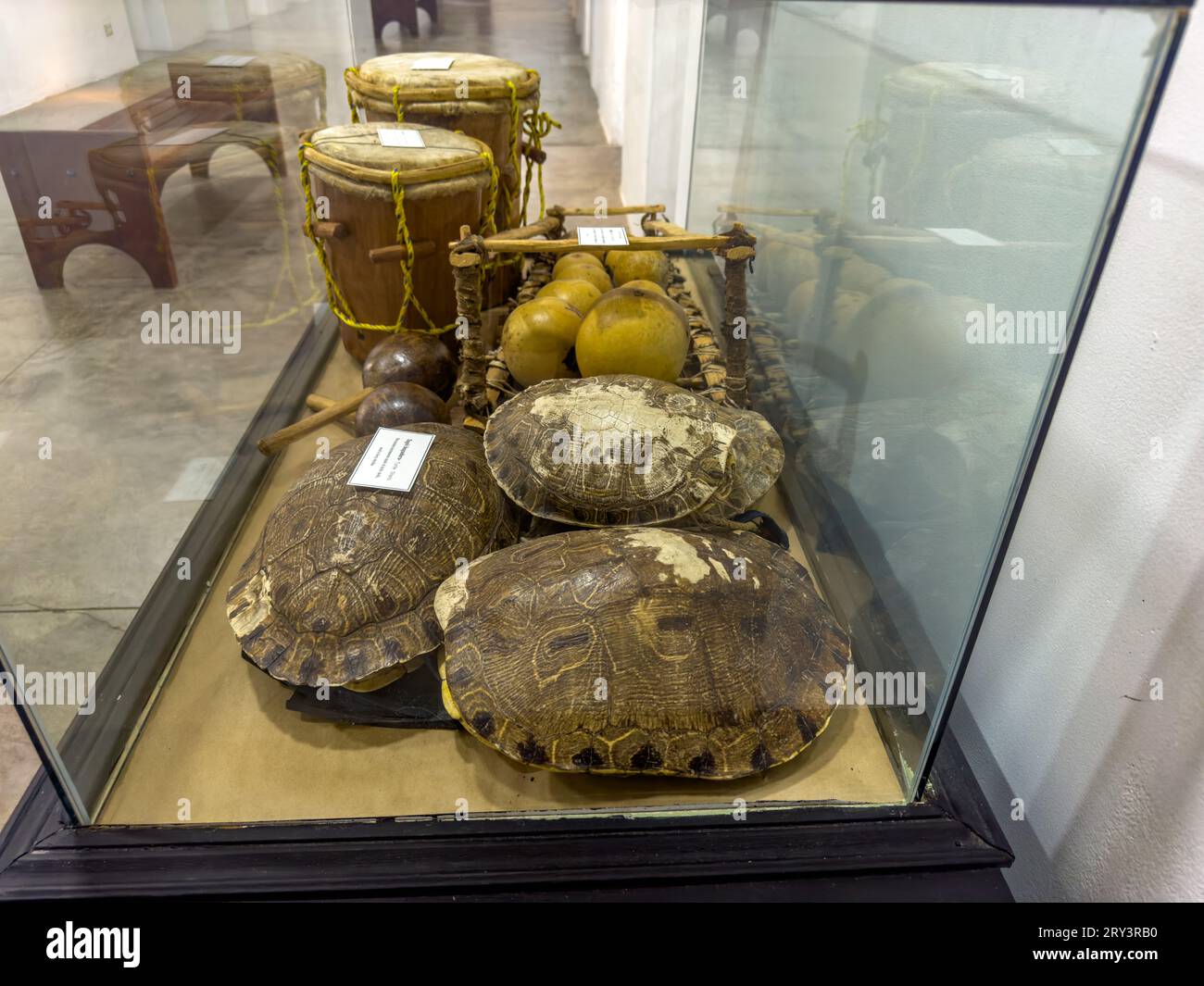 Turtle shell drums, a balafon (calabash xylophone) & djembe drums made ...