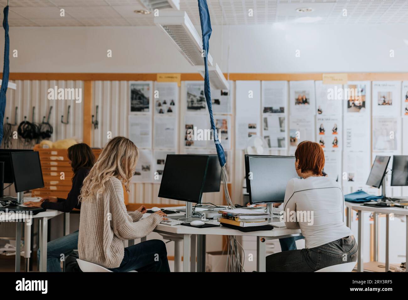 Female students using computers in school lab Stock Photo - Alamy