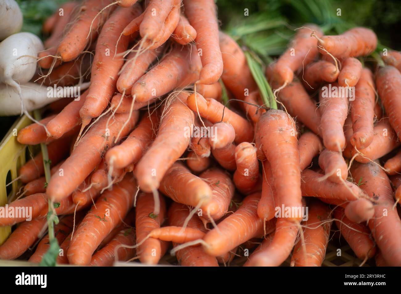 Organic carrots on market hi-res stock photography and images - Alamy