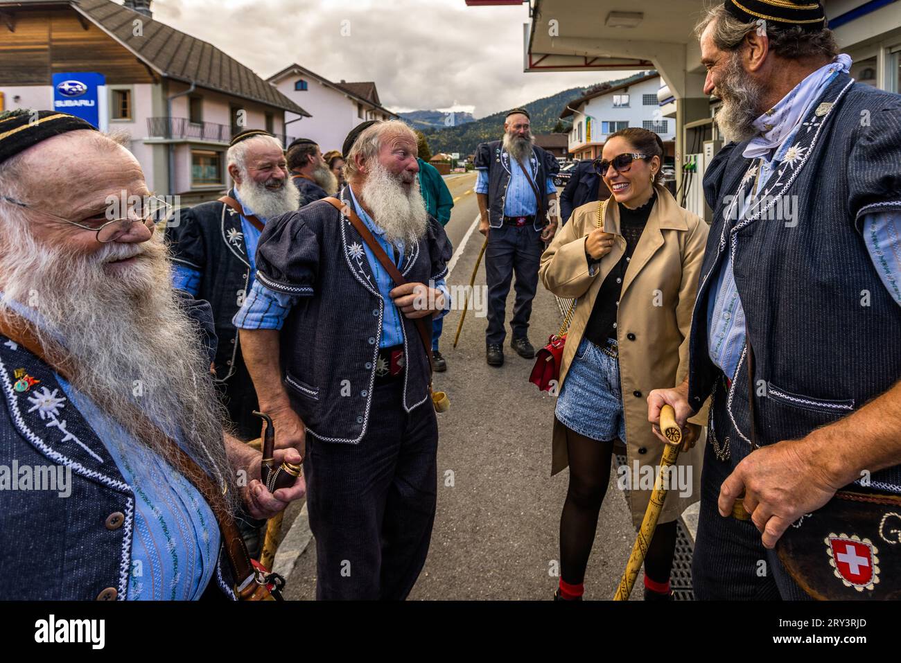 Autumnal ceremonial cattle drive from mountain pastures into the valley ...