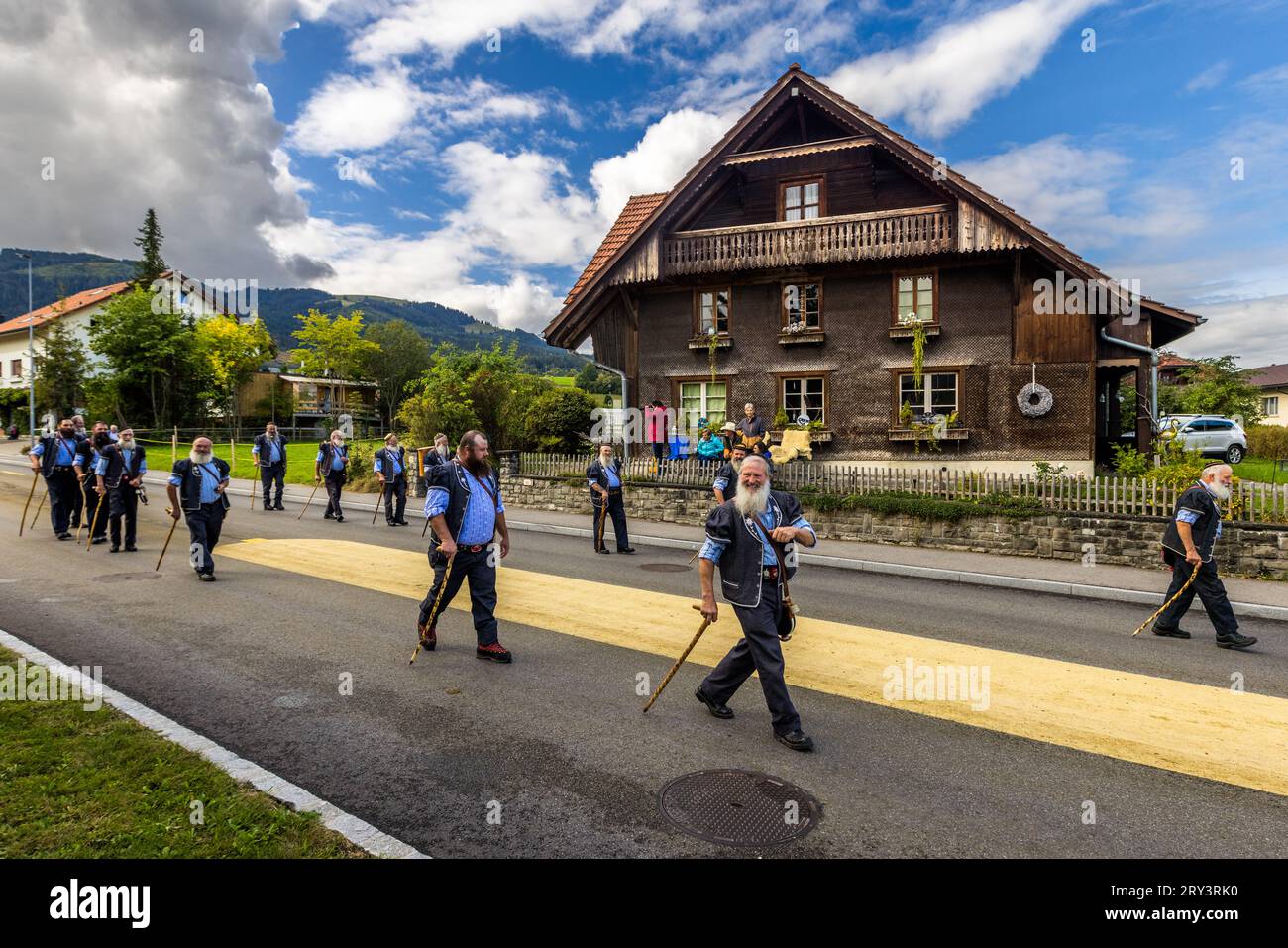 Autumnal ceremonial cattle drive from mountain pastures into the valley ...