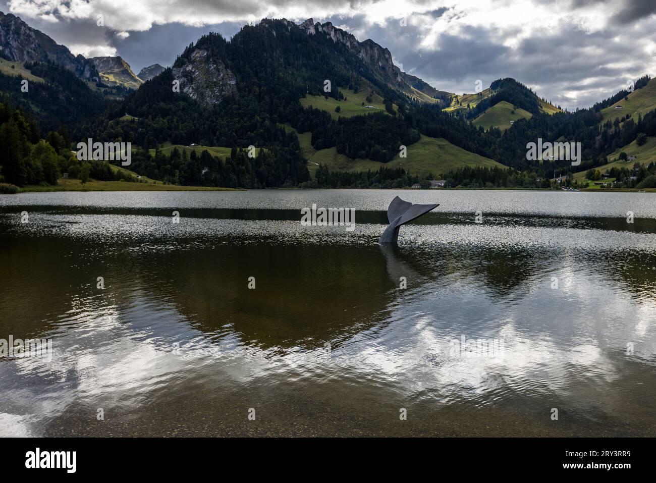 Sculpture of a prankster. Sea monster with whale fin in Schwarzsee ...