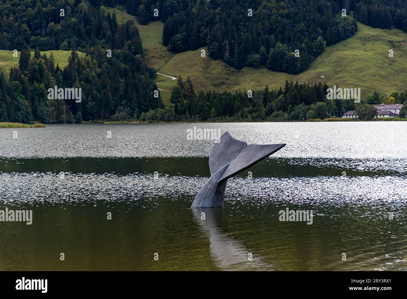 Sculpture of a prankster. Sea monster with whale fin in Schwarzsee ...