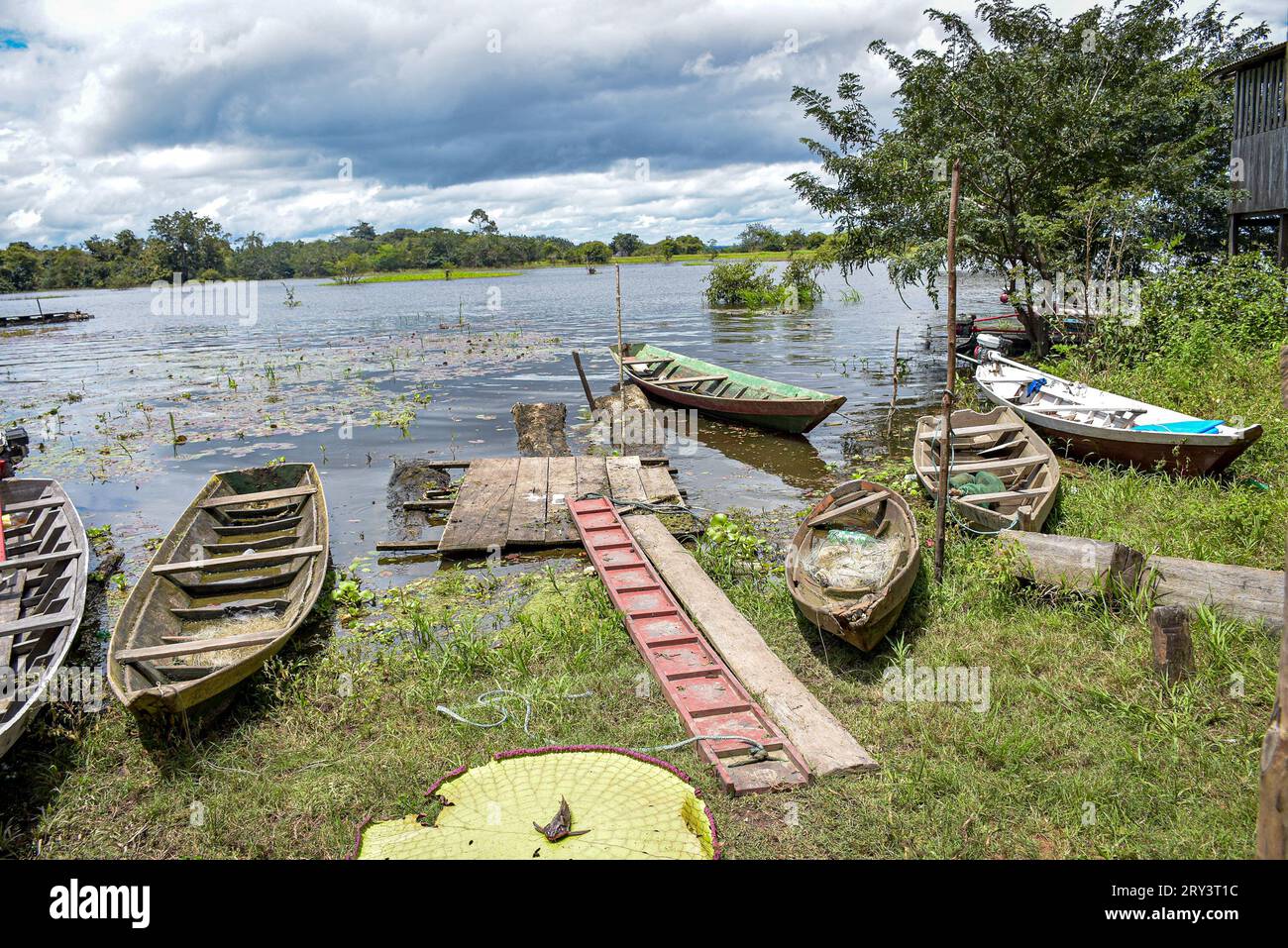 View to Amazon river and traditional boats in the Brazilian Rainforest ...