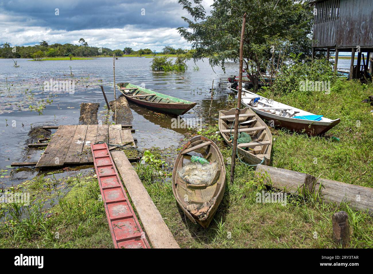 View to Amazon river and traditional boats in the Brazilian Rainforest ...