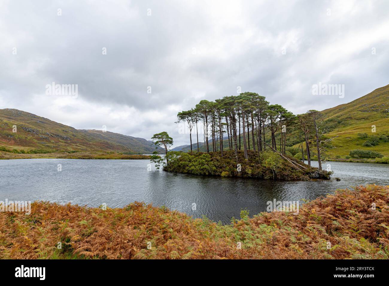 Die Insel Eilean na Moine im Süßwasser See Loch Eilt in den ...