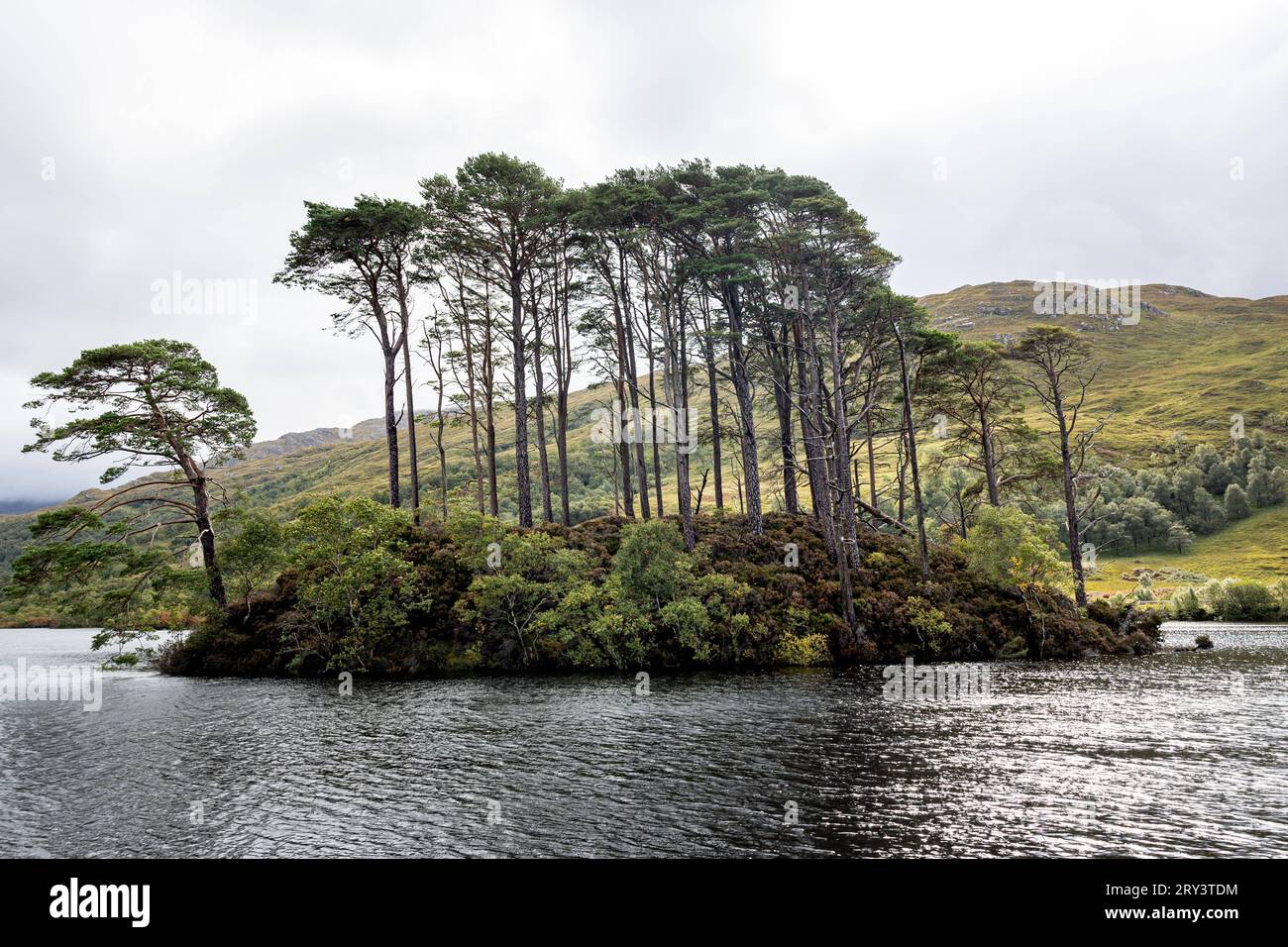 Die Insel Eilean na Moine im Süßwasser See Loch Eilt in den ...