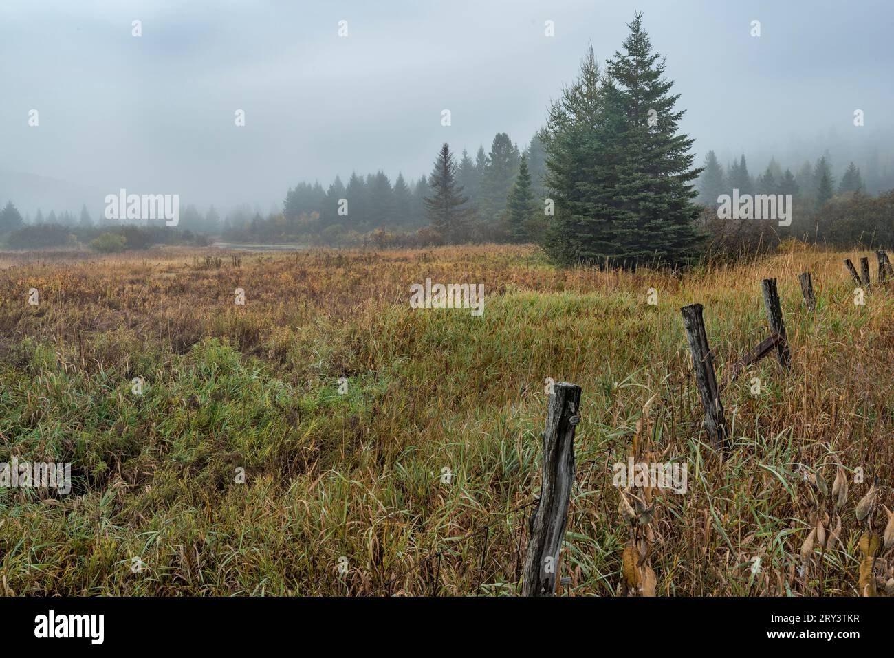 Fence posts and fog surround an autumn Adirondack landscape, Adirondack ...