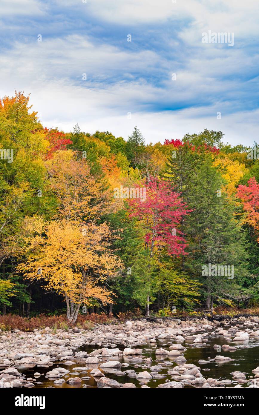 Colorful autumn leaves along West Canada Creek, Adirondack Park, New ...