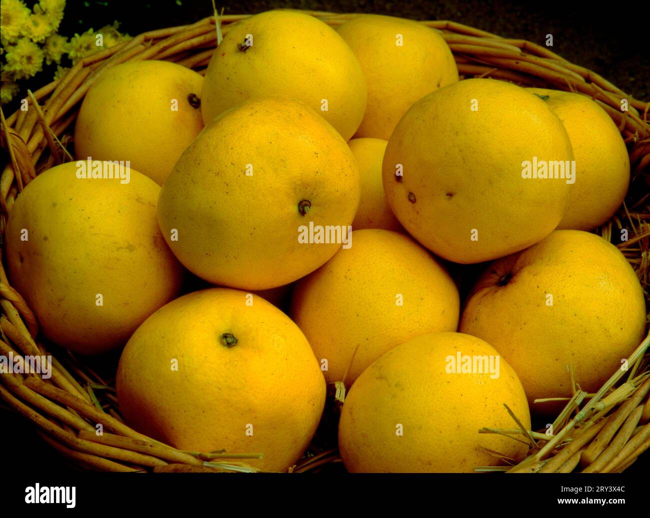 Origin east asia hi-res stock photography and images - Alamy