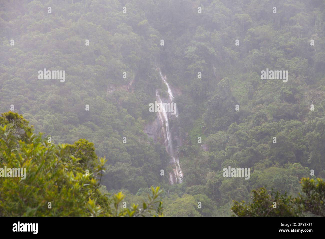 Waterfall moss rain forest hi-res stock photography and images - Alamy