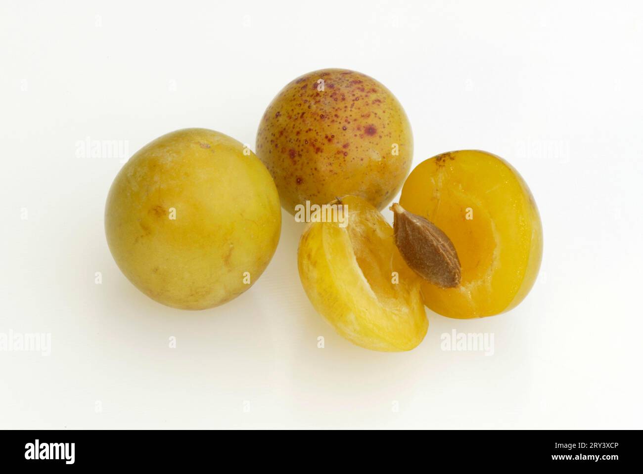 Bullace hi-res stock photography and images - Alamy