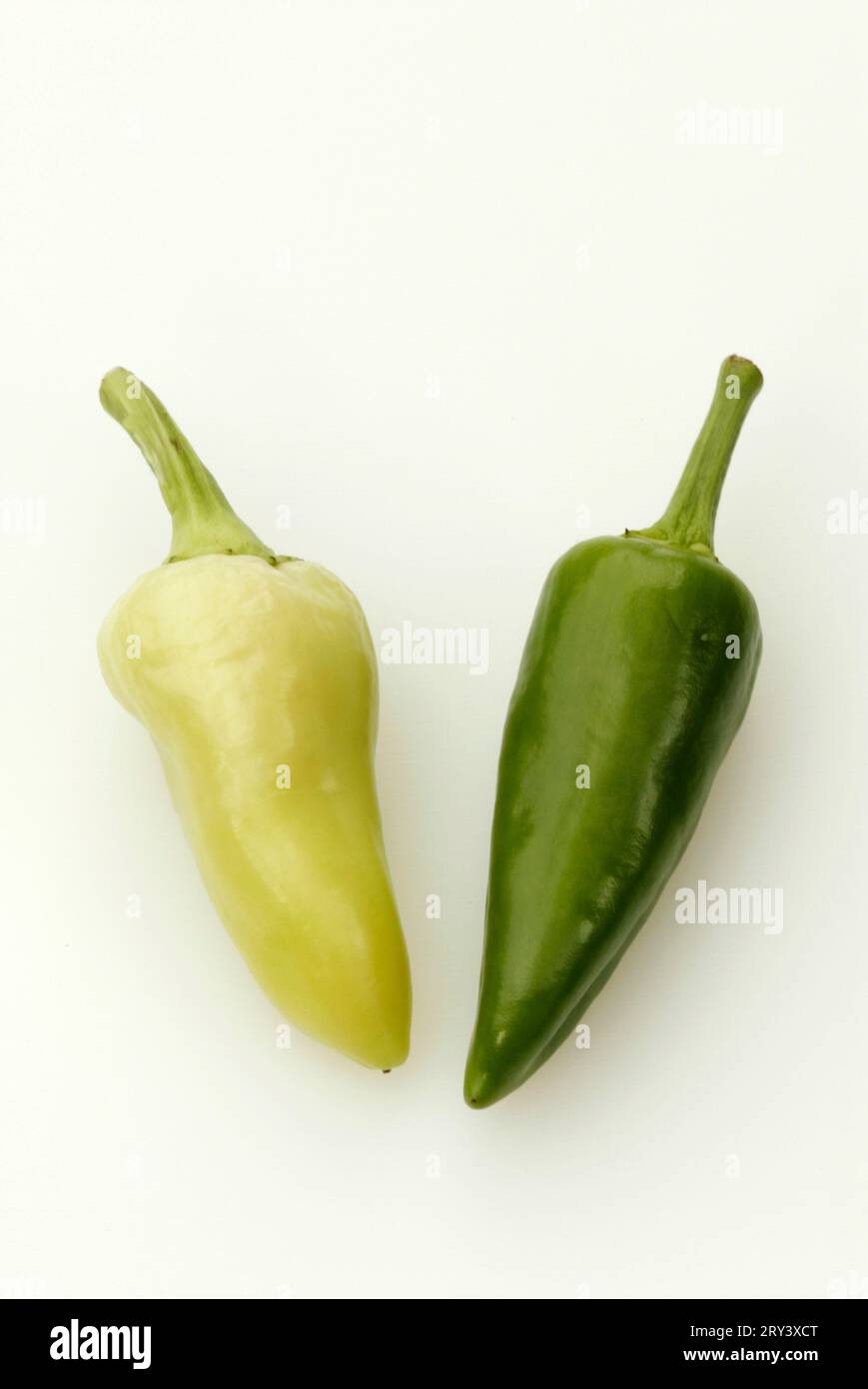 Hot Chili (Capsicum annuum Stock Photo - Alamy