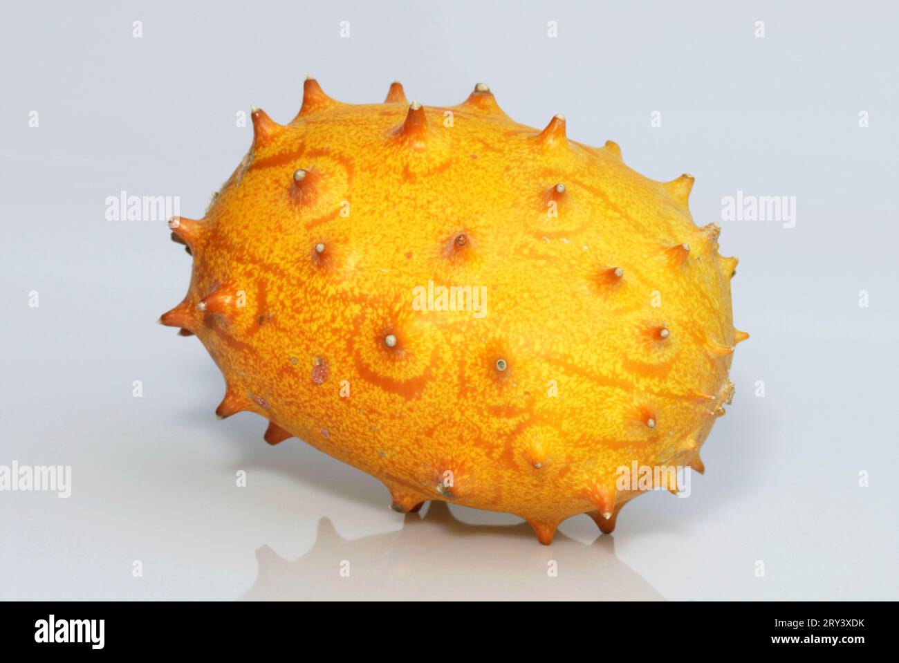 Spiny cucumber hi-res stock photography and images - Alamy