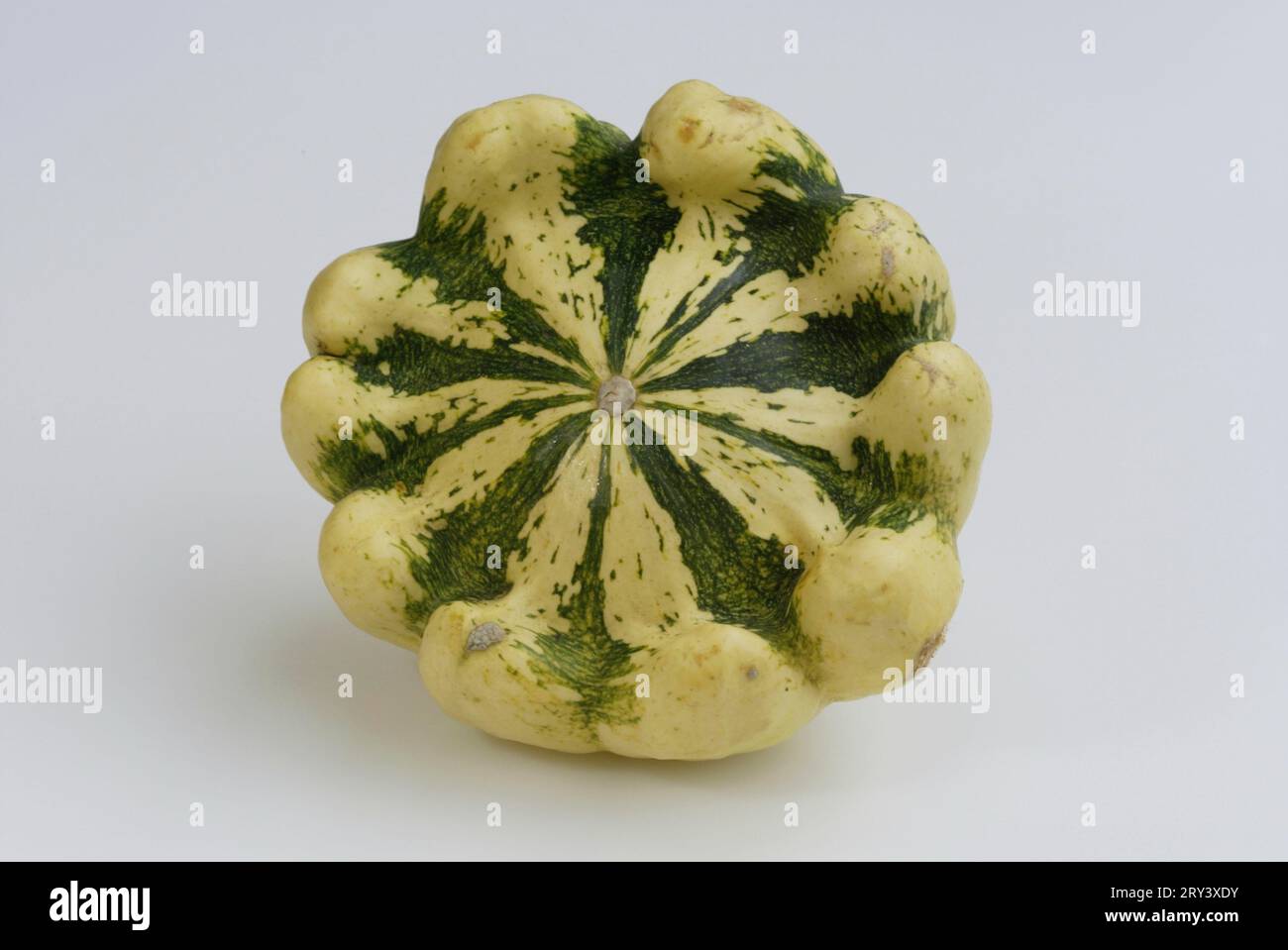 Pattisson hi-res stock photography and images - Alamy