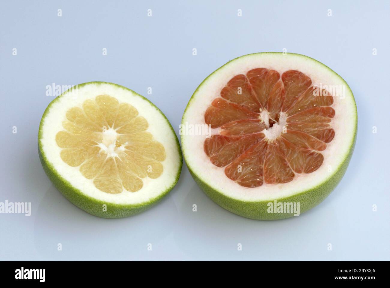 Grapefruit (Citrus maxima Stock Photo - Alamy