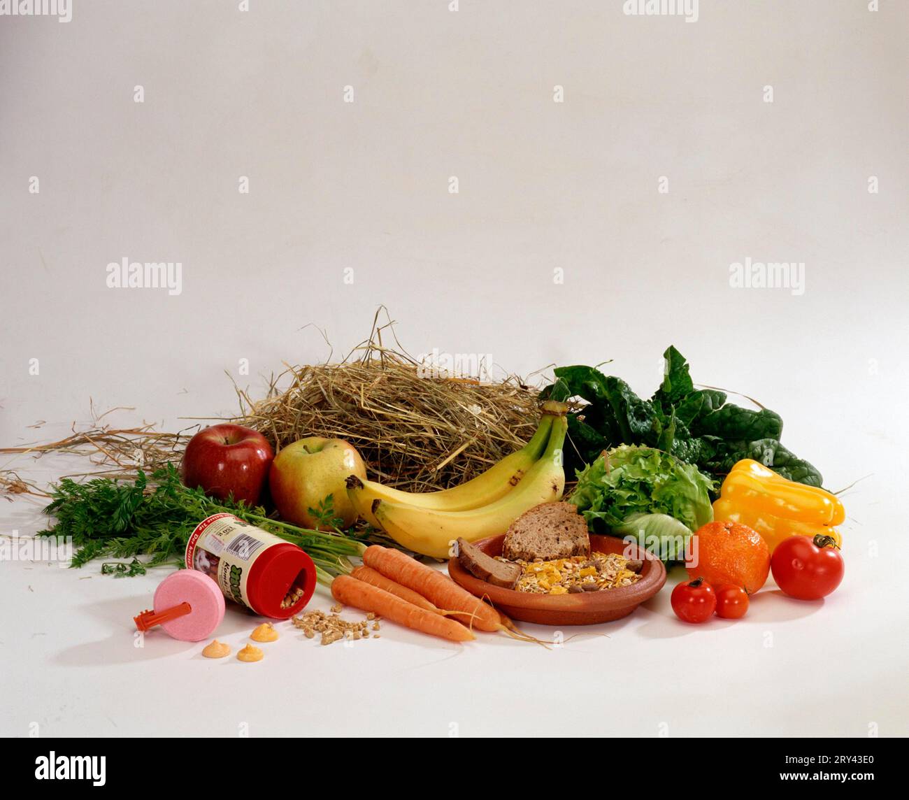 Food for Rabbits, feed for domestic rabbits including hay, fruit and ...