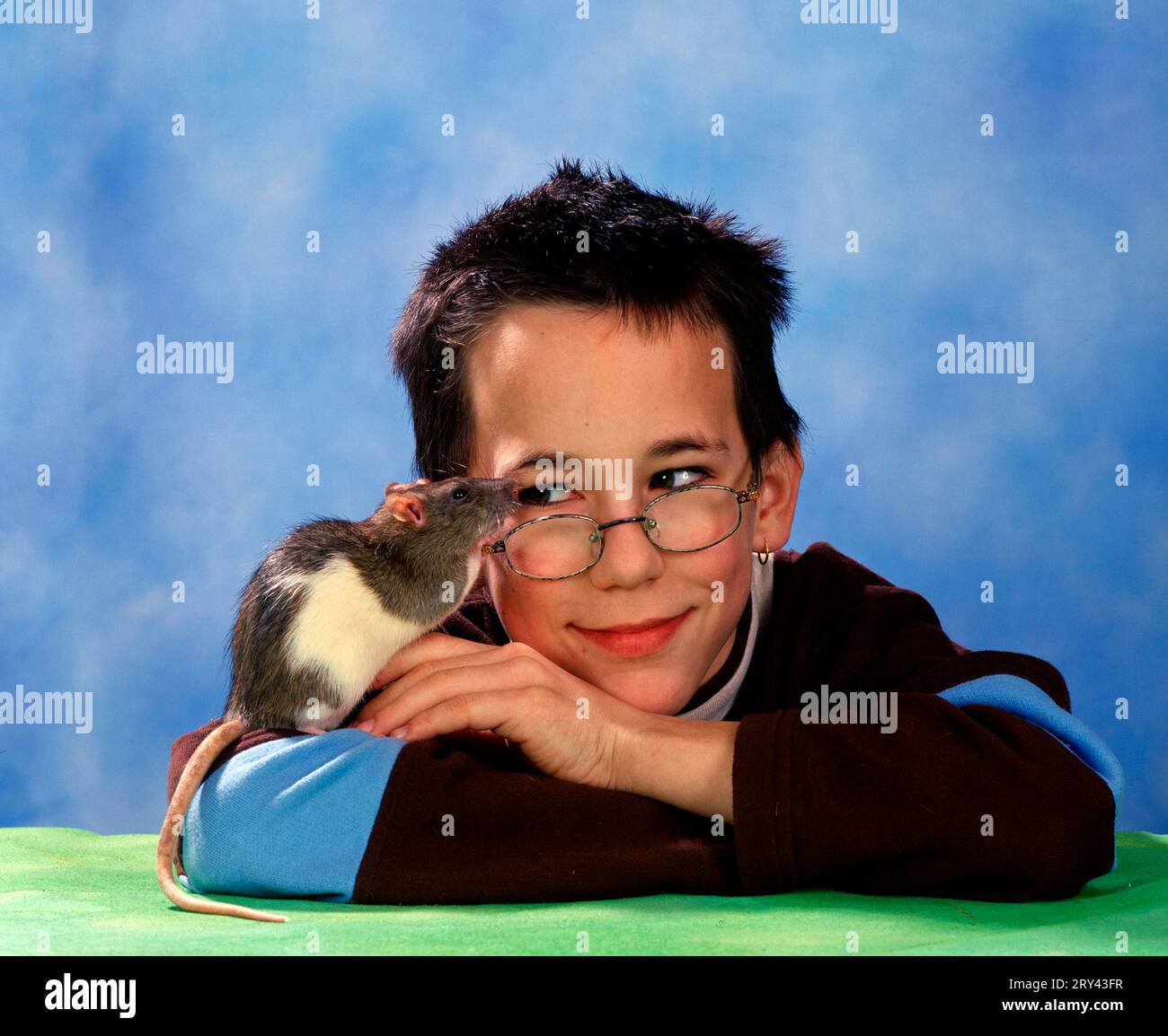 Boy with colour rat Stock Photo - Alamy