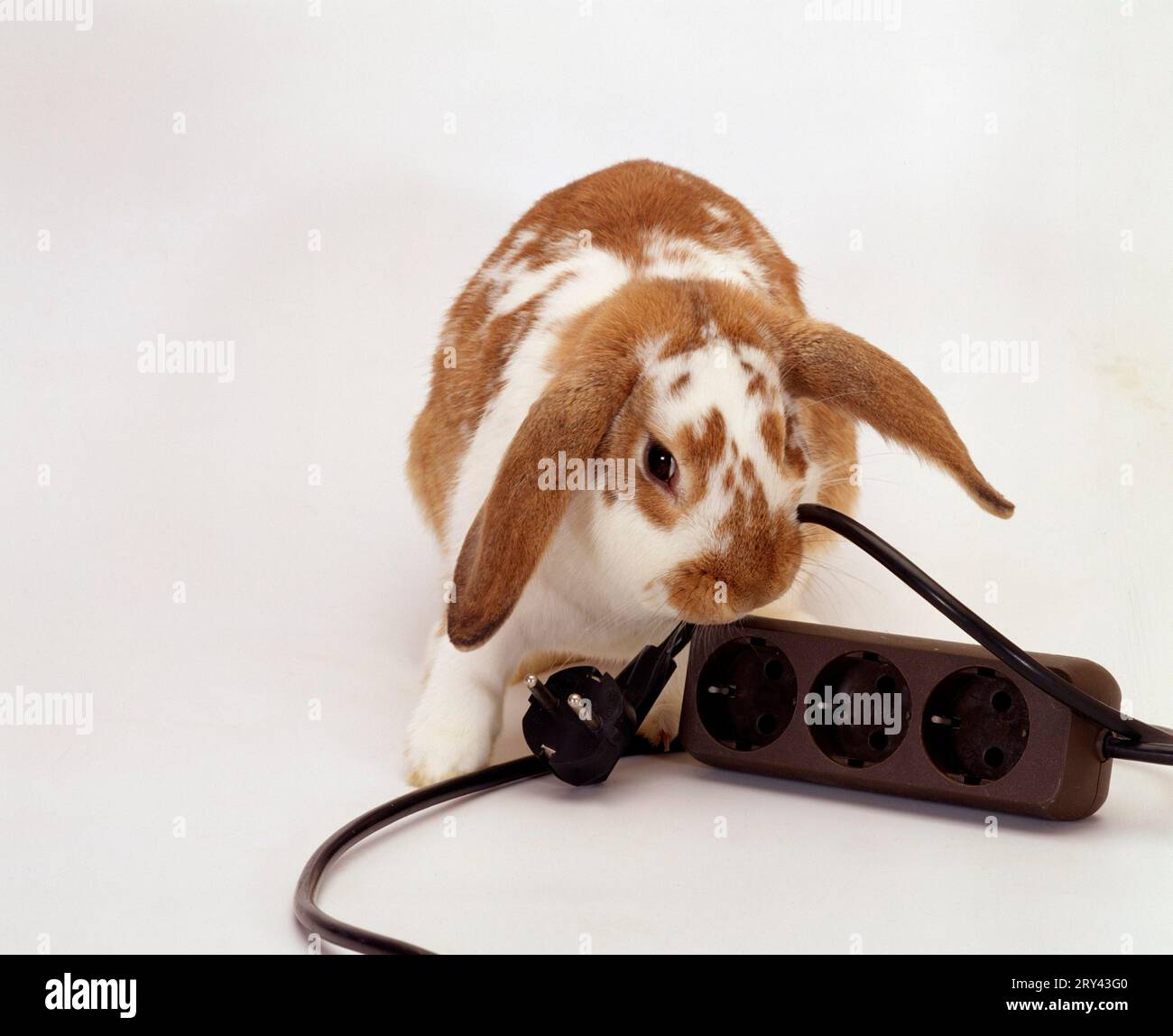 Cable feed hi-res stock photography and images - Alamy