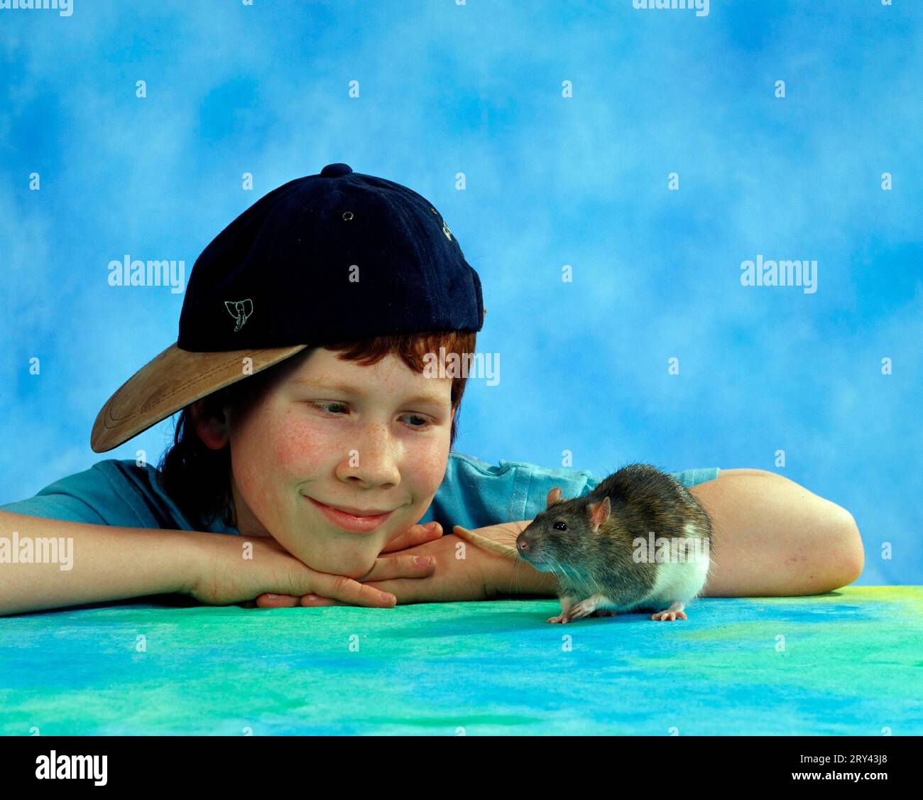 Boy with Domestic Rat, indoor, studio Stock Photo - Alamy