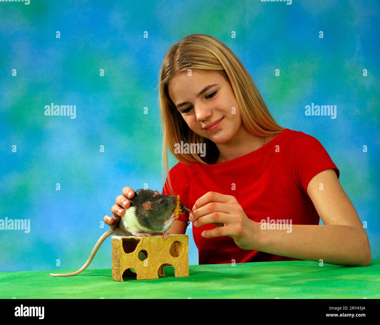 Fancy rat girl hi-res stock photography and images - Alamy
