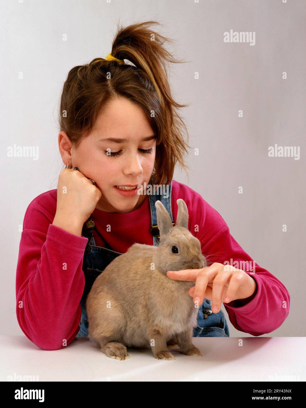 Girl with Dwarf Rabbit, Rabbit, indoor, studio Stock Photo - Alamy