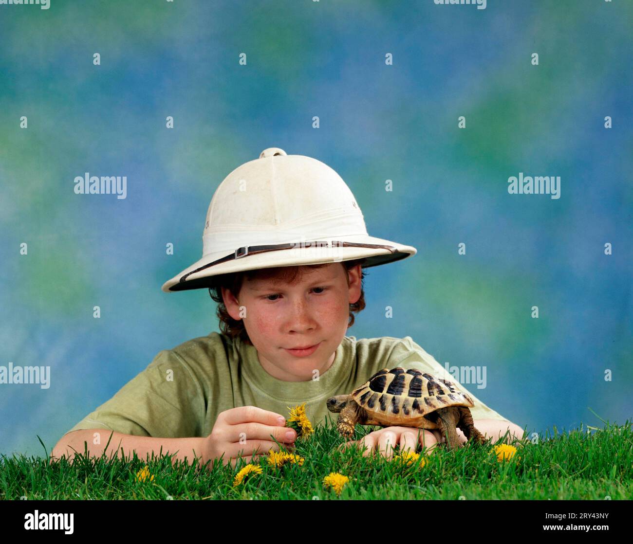 Boy with Greek Tortoise (Testudo hermanni Stock Photo - Alamy