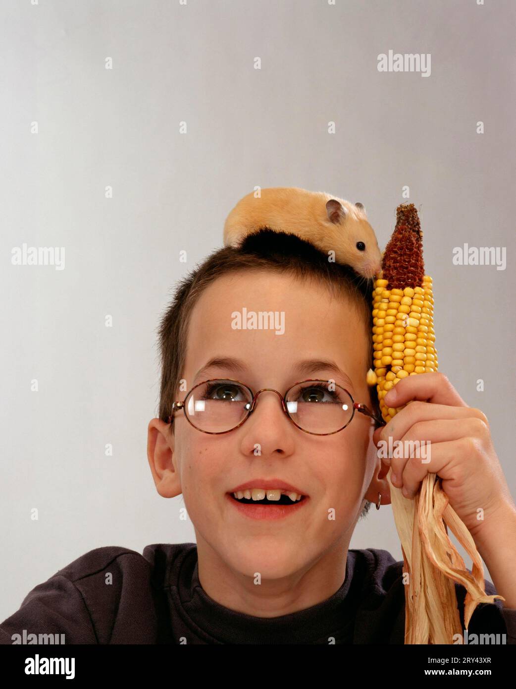 Boy with Golden Hamster (Mesocricetus auratus) on his head Stock Photo ...