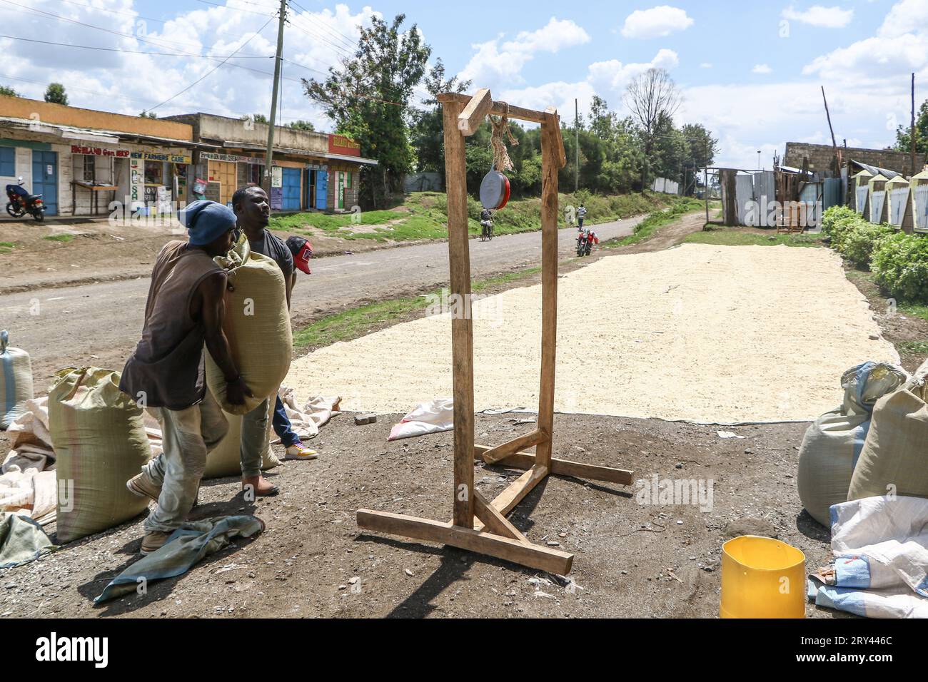 Workers weigh bags of sun-dried maize by the roadside. Farmers have ...