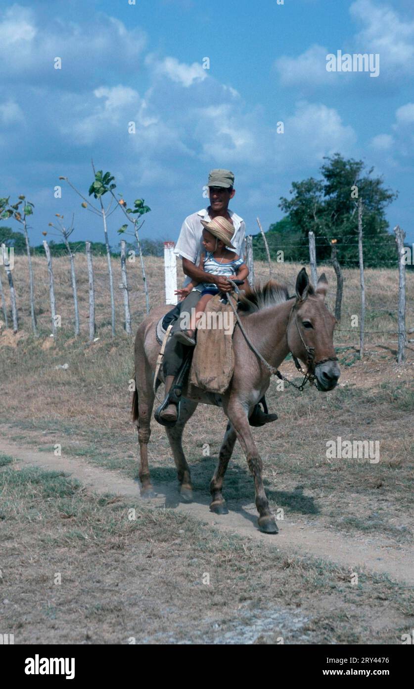 Man and child riding a mule together, Cuba Stock Photo - Alamy