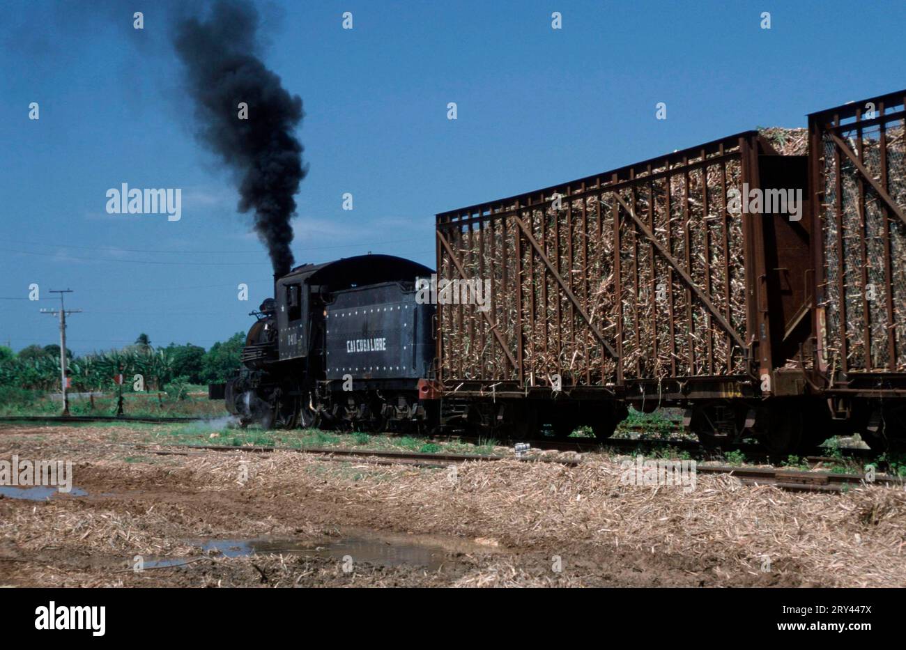 Sugar cane train, Pedro Betancourt, Cuba Stock Photo - Alamy