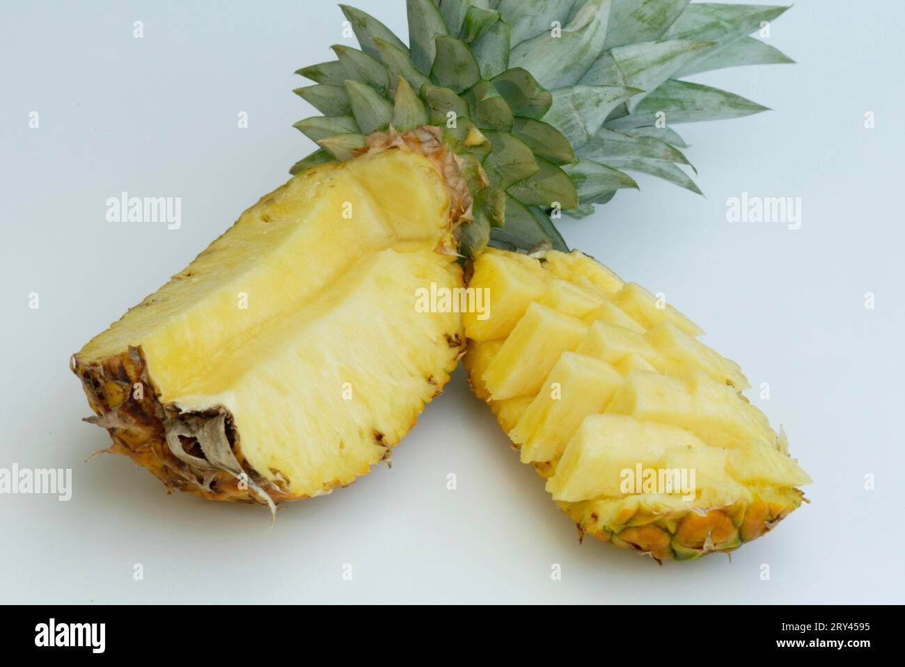 Ananas, pineapple (Ananas comosus), fruit, bromeliads (Bromeliaceae ...