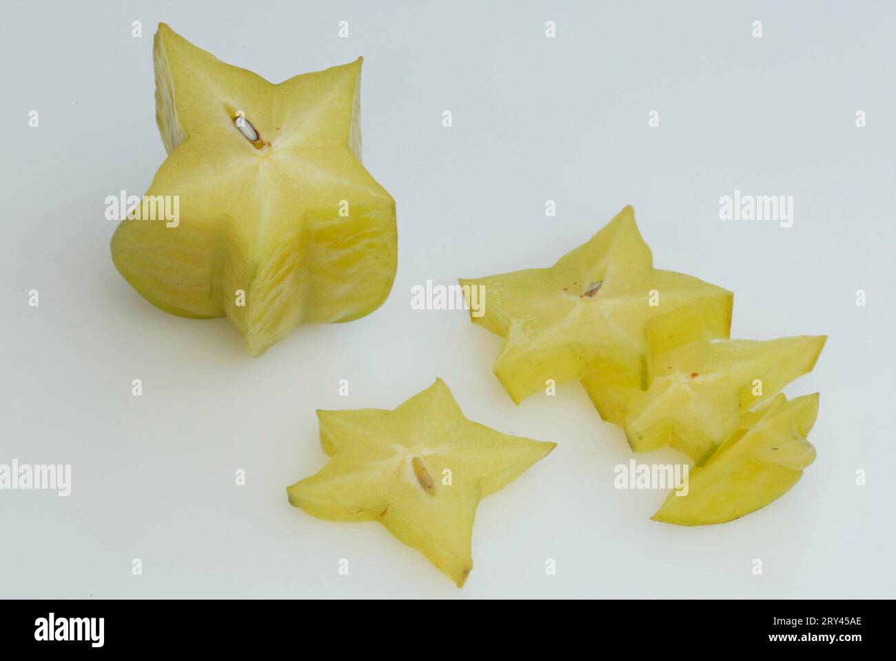 Carambola (Averrhoa carambola), Sternfrucht, Nutzpflanzen (useful ...