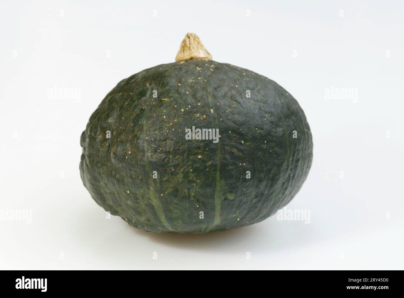 Gourds (Cucurbitaceae), cut-out, object, landscape format, horizontal ...