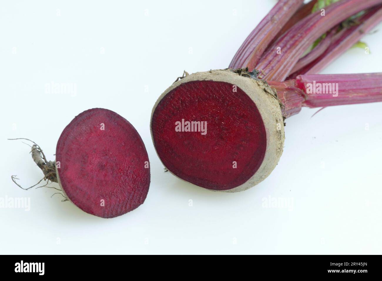 Beetroot (Beta vulgaris vulgaris), root, tuber, vegetable, crop ...
