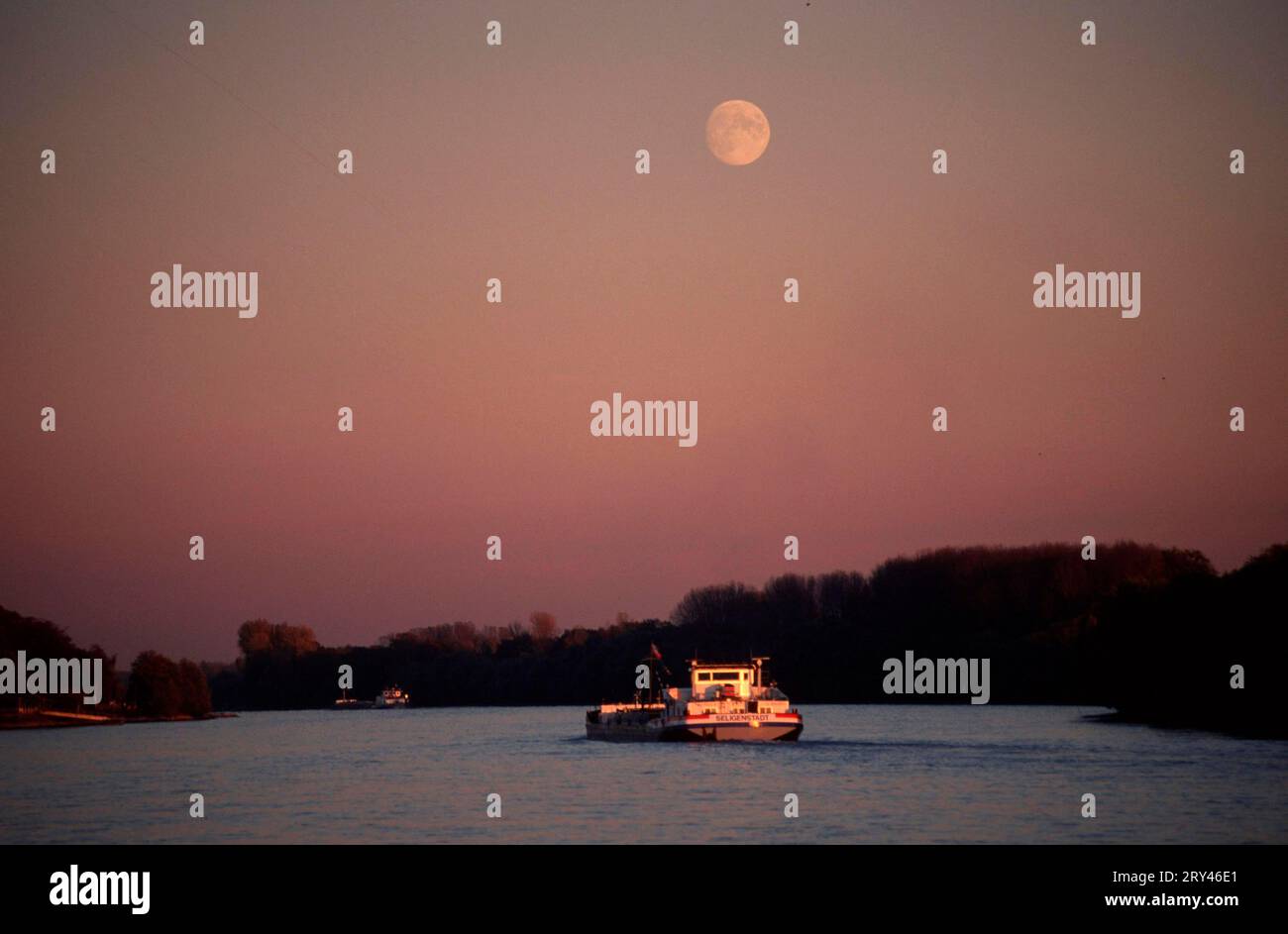 Ship on the Rhine, at dusk, Hattenheim, Rheingau, Hesse, Germany Stock ...
